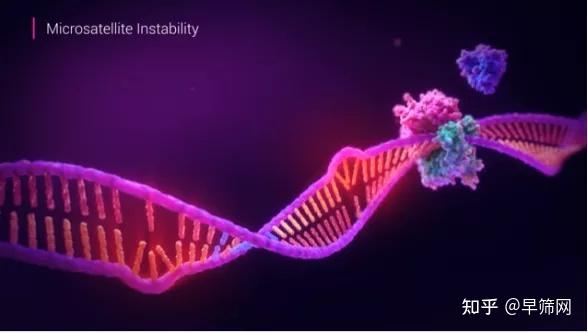 早筛网讯| FDA批准Promega MSI试剂盒，或造福更多肿瘤患者 - 知乎