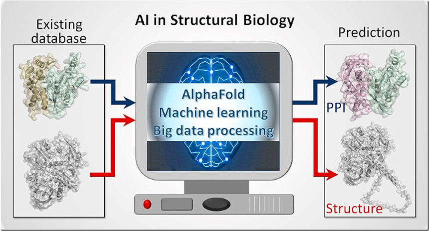 AlphaFold、人工智能(AI)和蛋白变构 - 知乎