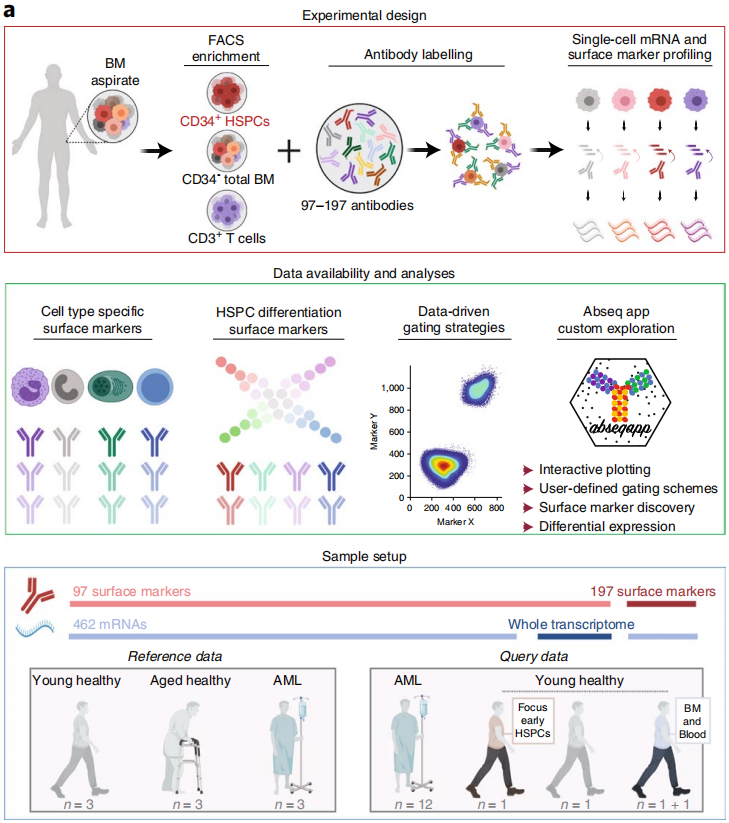 BD Rhapsody AbSeq + WTA + TTA + SMK + FACS Aria II助力白血病研究 - 知乎