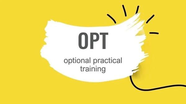 一文让你读懂美国OPT - 知乎