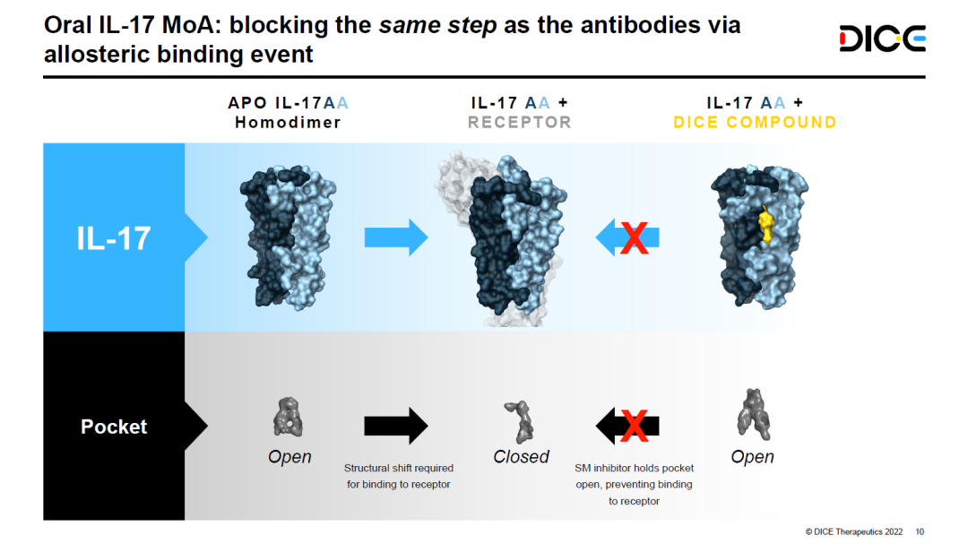 简谈DICE公司IL-17A分子 - 知乎