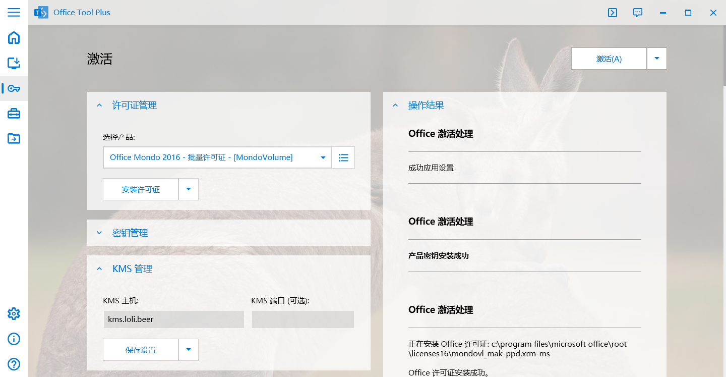 第3次更新|Office Tool Plus使用指南 - 知乎