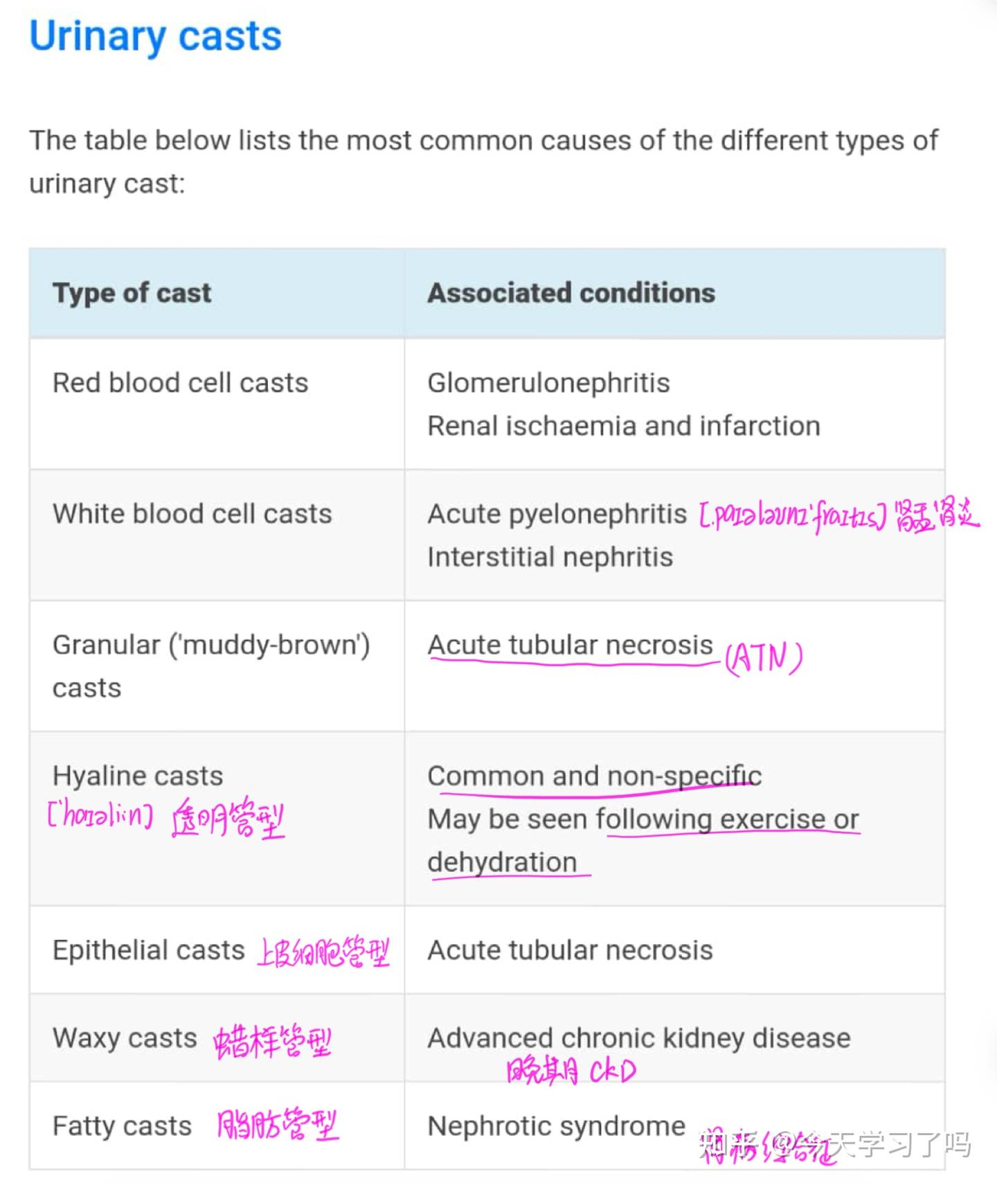 管型尿类型Urinary casts（医学英语） - 知乎