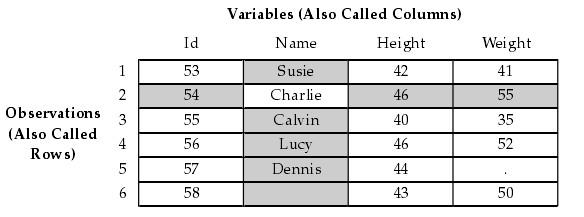 SAS系列01——简介 - 知乎