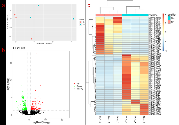 Visual Omics | 一个组学数据分析和可视化平台 - 知乎