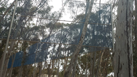 UCSD景观记（八）Two Running Violet V Forms - 知乎