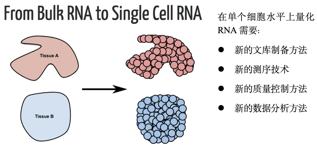 一文读懂scRNA-seq数据分析（经典教程，建议收藏） - 知乎
