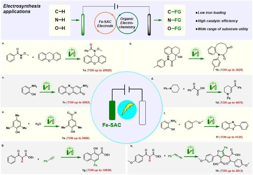 催化丨东北大学李文豪/广西师范大学唐海涛/清华大学王定胜团队Angew：单原子铁催化剂作为阳极氧化介质应用于有机电化学合成 - 知乎
