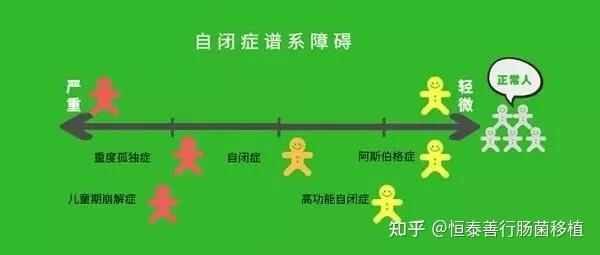 巨单胞菌属 Megamonas - 知乎