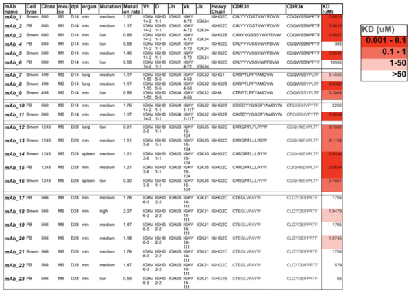 单细胞技术｜免疫组库分析：单细胞BCR测序与单细胞转录组测序，揭示流感病毒感染后B细胞的时空变化 - 知乎
