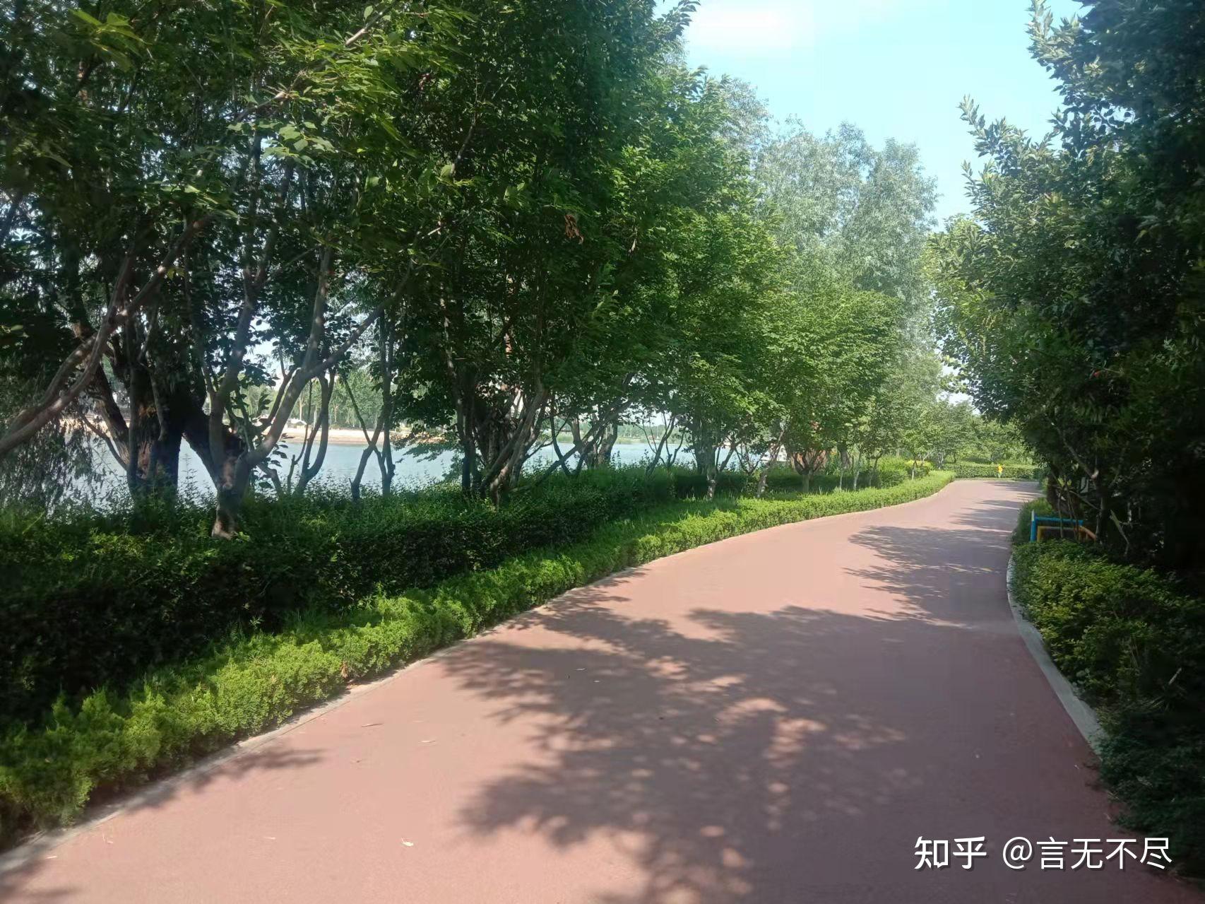 悬垂举腿 最好的腹肌训练方式 知乎