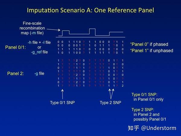 基因型填充(Genotype-Imputation)：从原理到操作 - 知乎