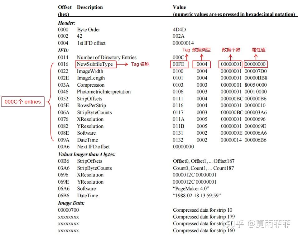 TIFF 文件格式解析 - 知乎