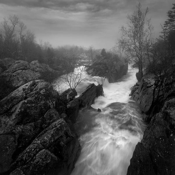 顶级黑白照片长啥样？黑白摄影大赛获奖作品欣赏分析 - 知乎