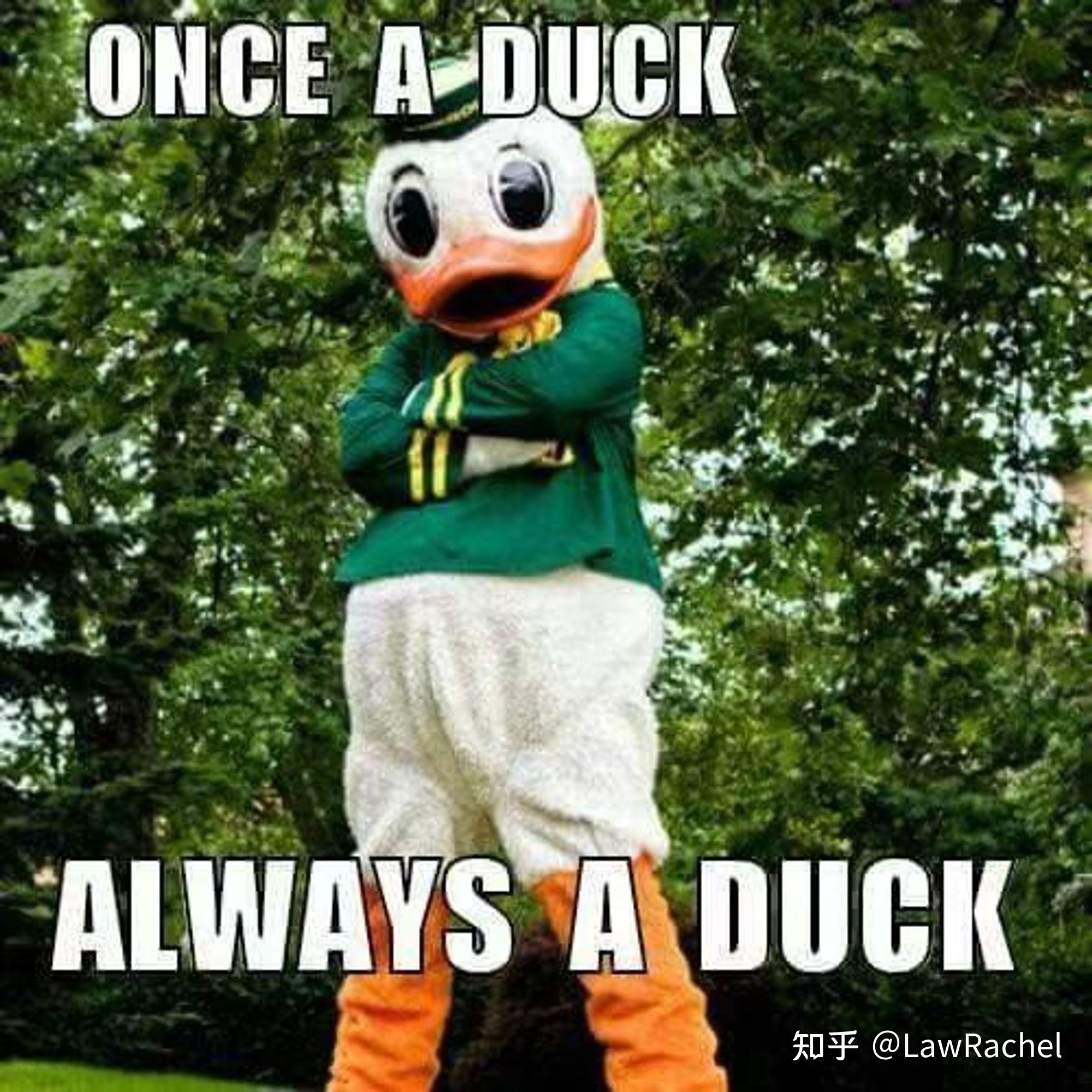 万字解读 | A轮就融资￥3亿+的MotherDuck到底是个啥？ - 知乎