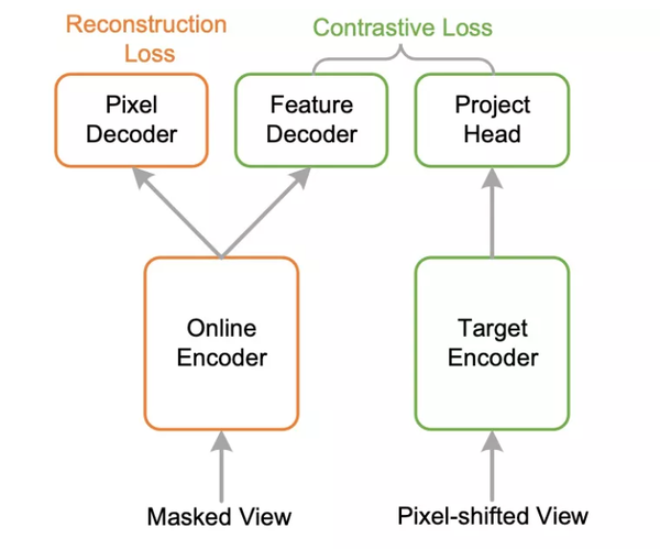【自监督学习论文阅读】CMAE-V: Contrastive Masked Autoencoders for Video Action ...