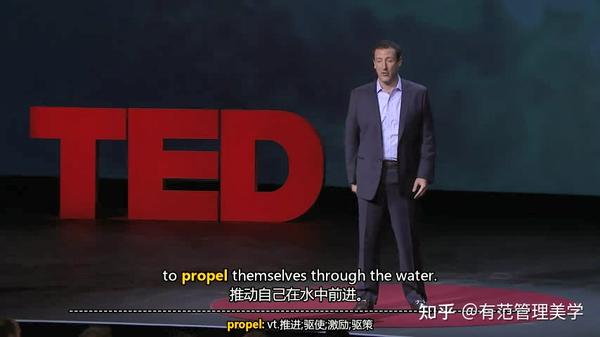 TED演讲集 TED视频打包下载（MP4+中英字幕+演讲稿） TED中英文对照字幕视频 TED演讲稿 1984-2021全集 - 知乎