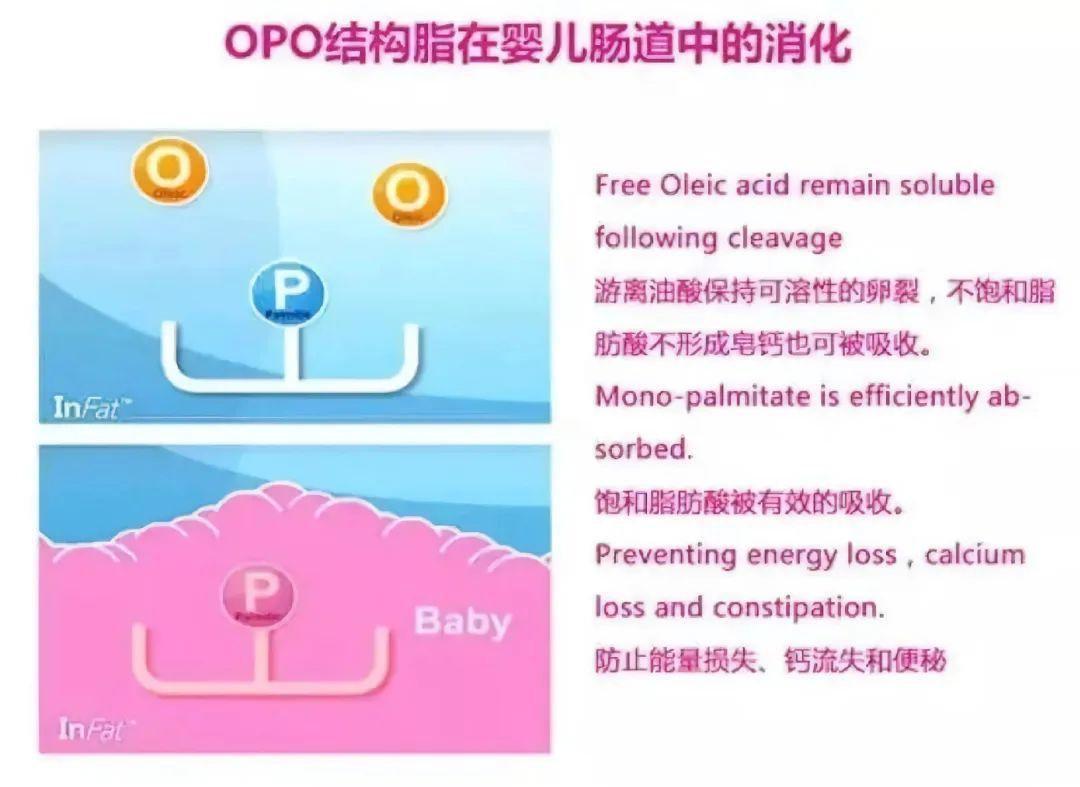 POP还是OPO？益生菌or益生元？你还在傻傻分不清吗？ - 知乎