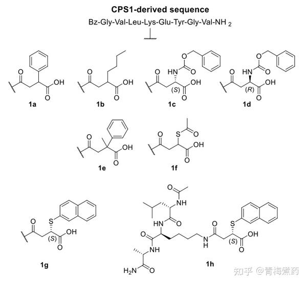 药物发现 | 蛋白质赖氨酸脱酰基酶Sirtuin 5（SIRT5）的治疗潜力和活性调控 - 知乎
