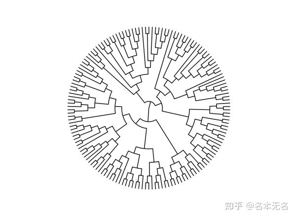 R 数据可视化 —— ggraph 图形创建与布局 - 知乎