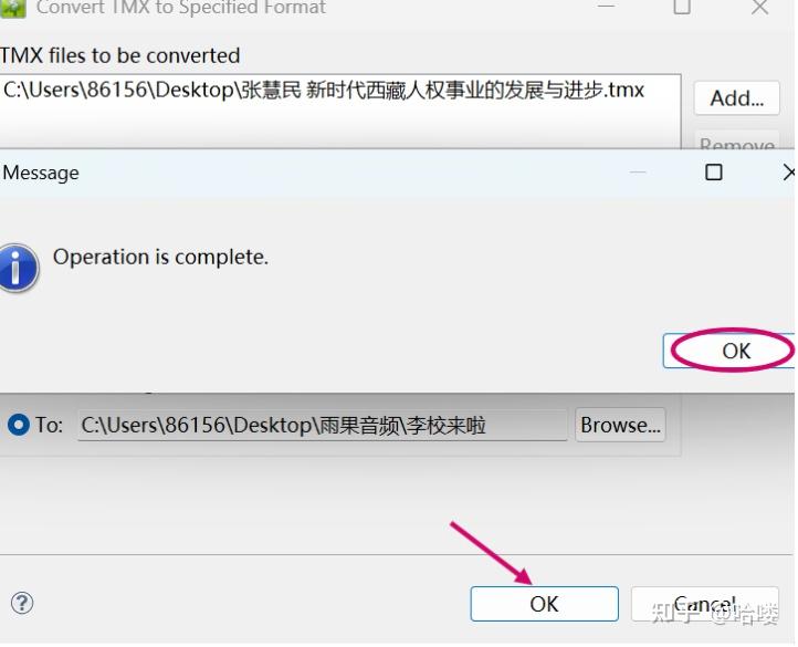 Convert TMX to .doc files - 知乎