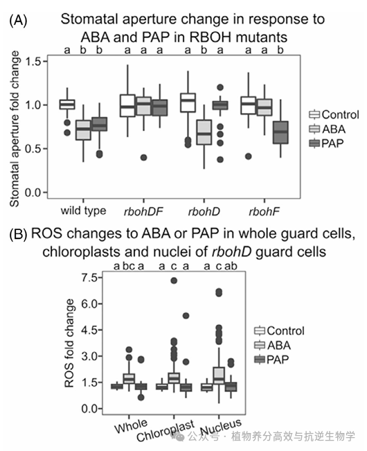 【Plant J.】叶绿体逆行信号竟能“双面操控”ROS，解锁植物气孔关闭新机制 - 知乎