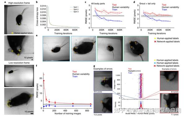 DeepLabCut：markerless pose estimation of user-defined body parts with ...