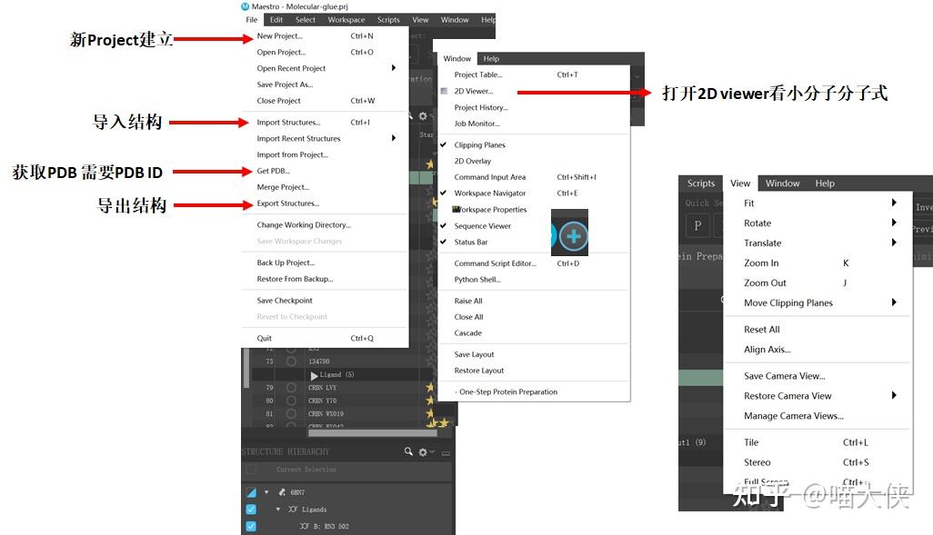 Maestro基本界面介绍 - 知乎