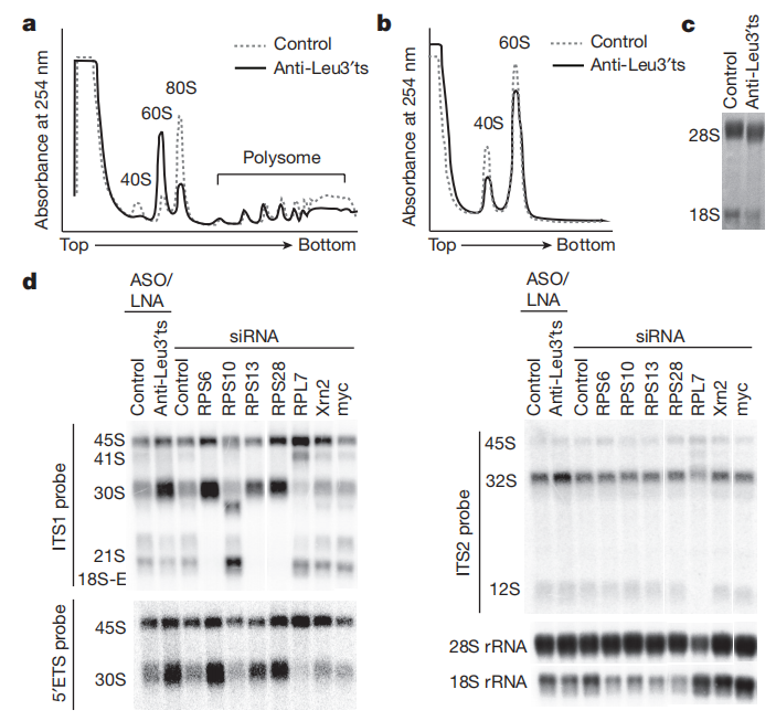 潘多拉测序应用|疾病非编码小RNA分子诊断标记物和功能机制研究 - 知乎