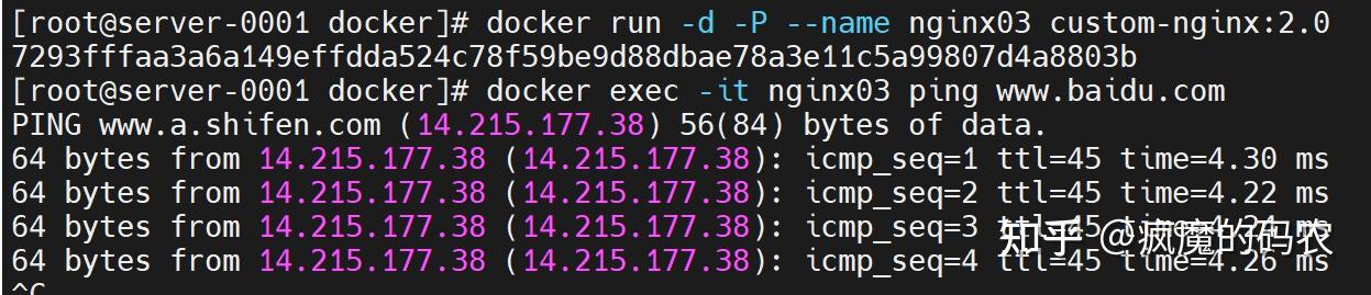Docker容器缺少ping命令 - 知乎