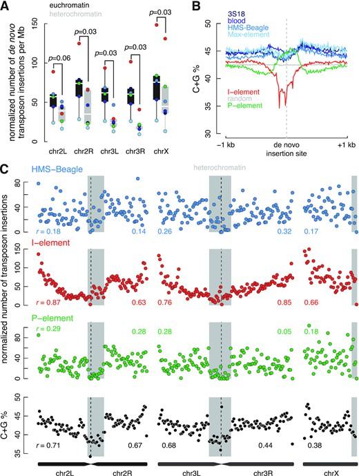 TE在基因组上插入的选择倾向性 - 知乎