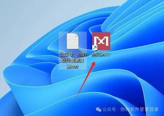 实用软件 MEGA11.0.13 下载安装教程 - 知乎