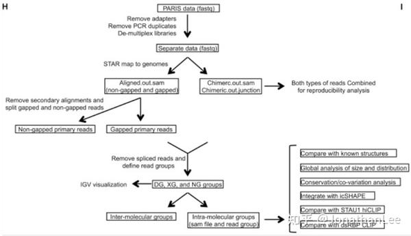 全基因组RNA-RNA interactions捕获技术解读（初） - 知乎