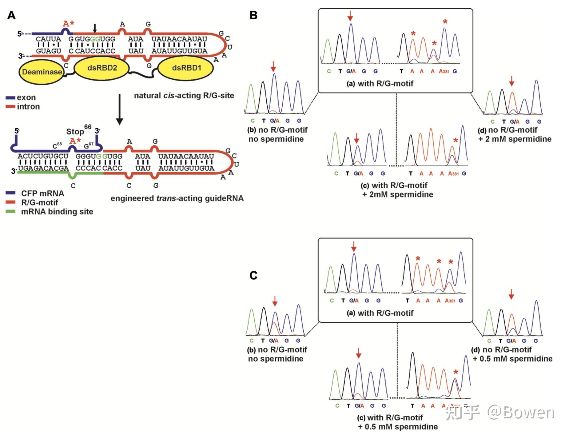 RNA Editing发展历程 - 知乎