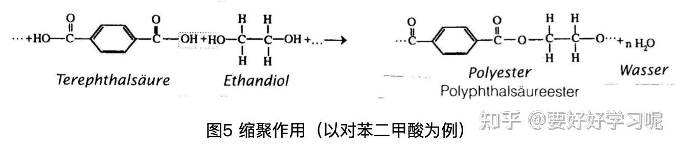 多聚体(Polymere)学习笔记 - 知乎