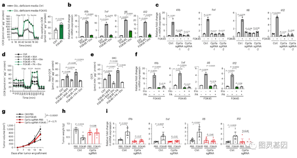 Nat Immu | CD40信号通过代谢重编程刺激巨噬细胞的抗肿瘤效应 - 知乎