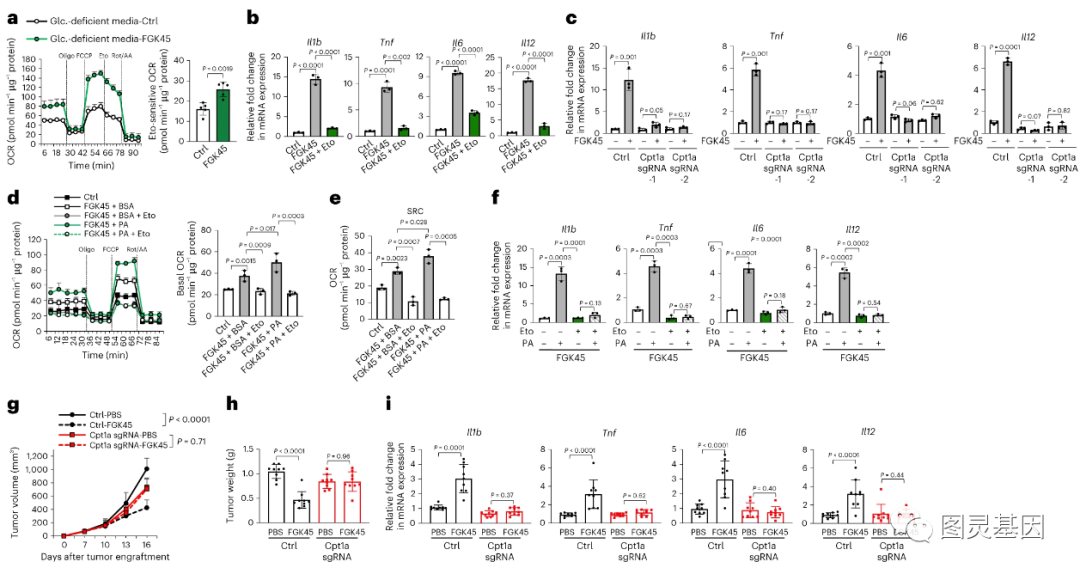 Nat Immu | CD40信号通过代谢重编程刺激巨噬细胞的抗肿瘤效应 - 知乎