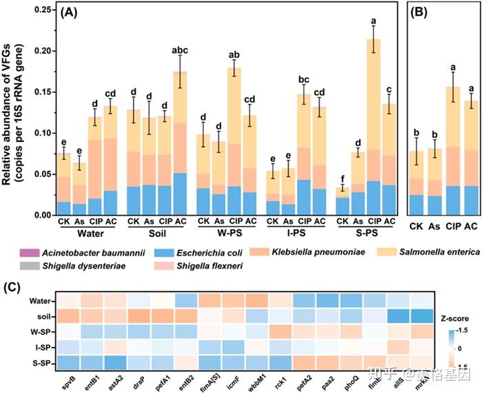 美格基因 | 抗生素和重金属胁迫下塑料际中毒力因子基因的选择性富集 - 知乎