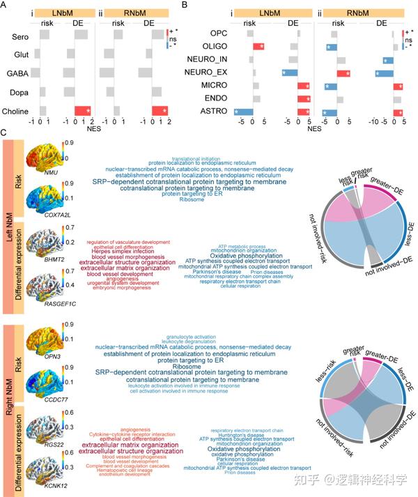 Neurobiol Dis︱哈工大梁夏/蒋庆华课题组揭示轻度认知障碍患者中基底前脑功能连接异常的转录易感性机制 - 知乎