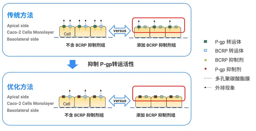 BCRP底物评估：基于Caco-2细胞模型的新方法 - 知乎