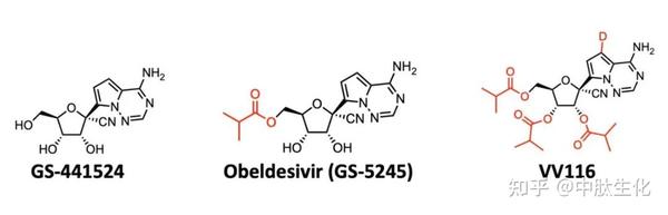 新冠口服药VV116登上NEJM的背后 - 知乎