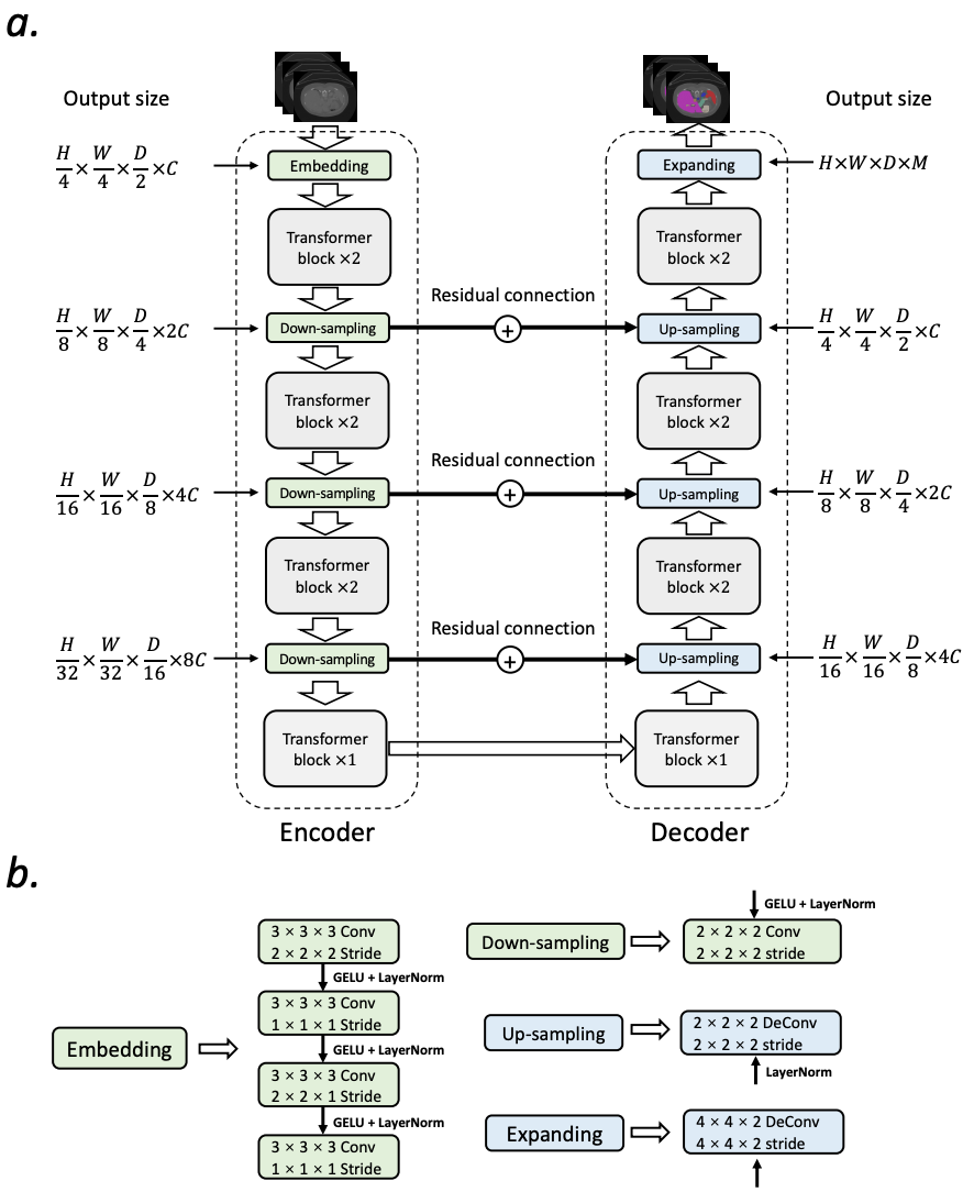 nnFormer (Not-aNother transFORMER): 基于交叉Transformer结构的3D医疗影像分割网络 - 知乎