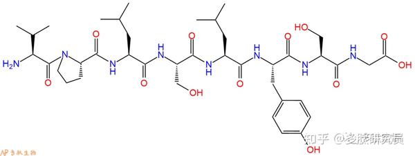 基质金属蛋白酶MMP介绍及汇总 - 知乎