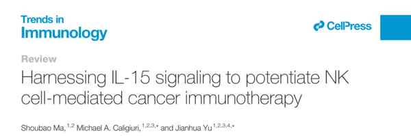 Trends Immu | 利用IL-15信号增强NK细胞介导的癌症免疫治疗 - 知乎