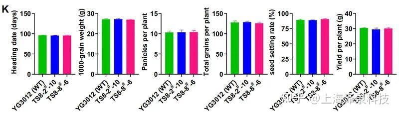 Plant Commun.: CRISPR/Cas9介导的水稻OsHPPD基因3'-UTR编辑创制水稻除草剂抗性新种质 - 知乎