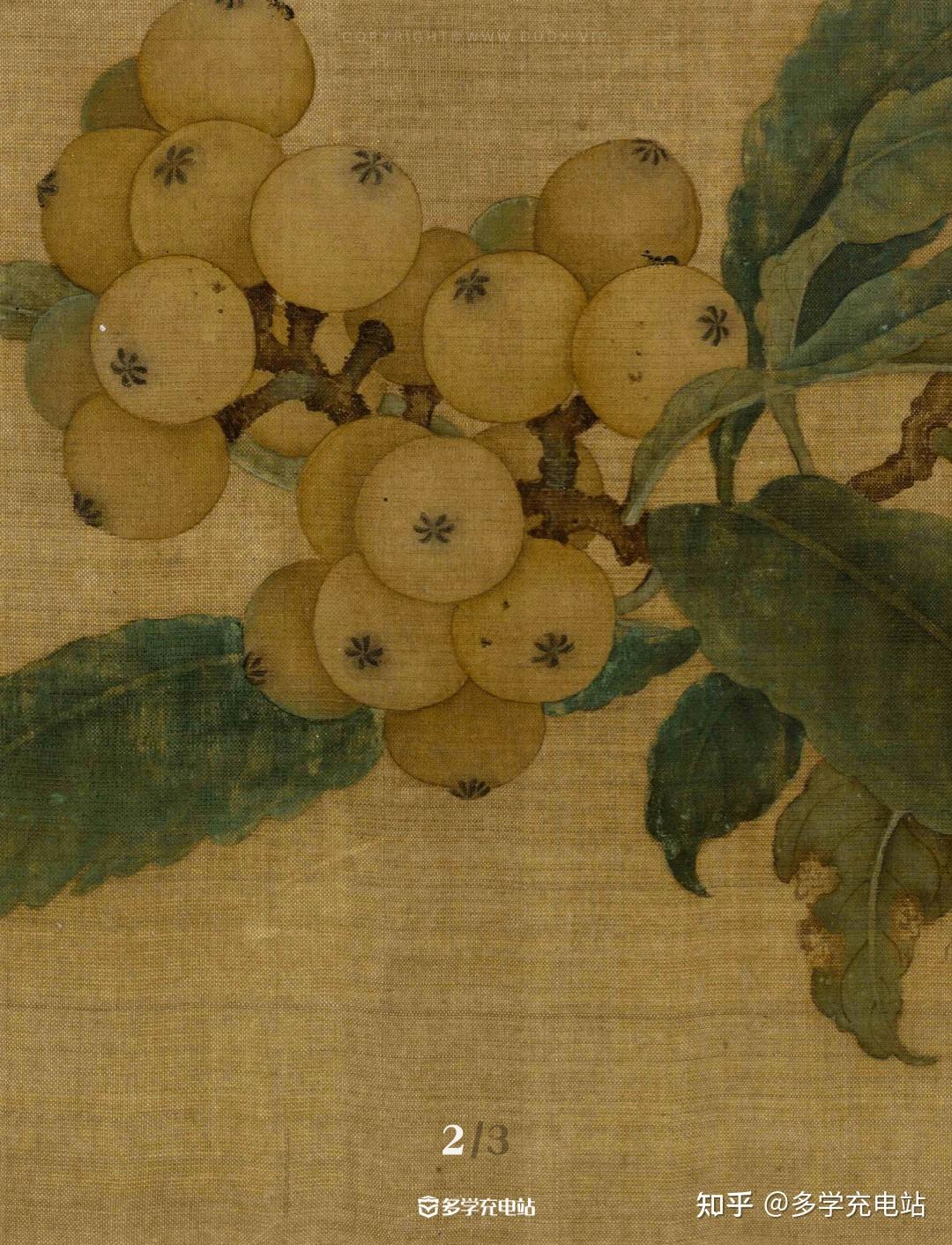 名画｜《枇杷山鸟图》南宋 林椿 赏析下载 - 知乎