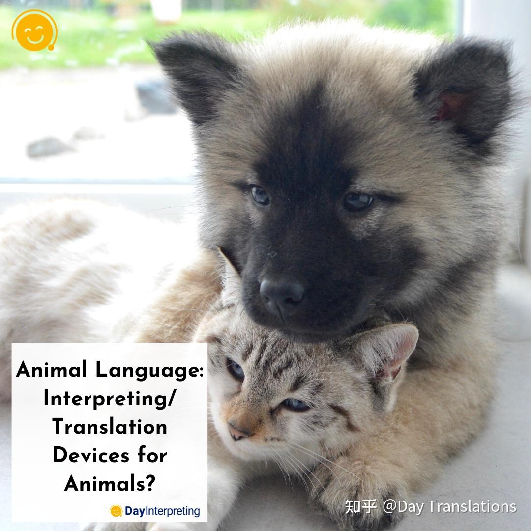 宠物语言：有专门翻译宠物语言的设备吗？ - 知乎