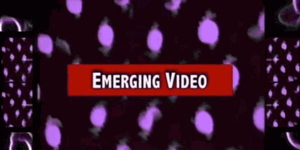 VJ简史（1893年-至今) - 知乎