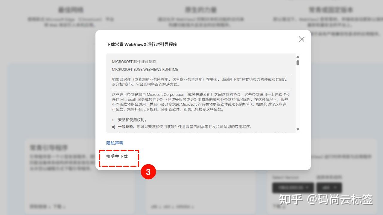 下载安装Microsoft Edge Webview2 Runtime - 知乎