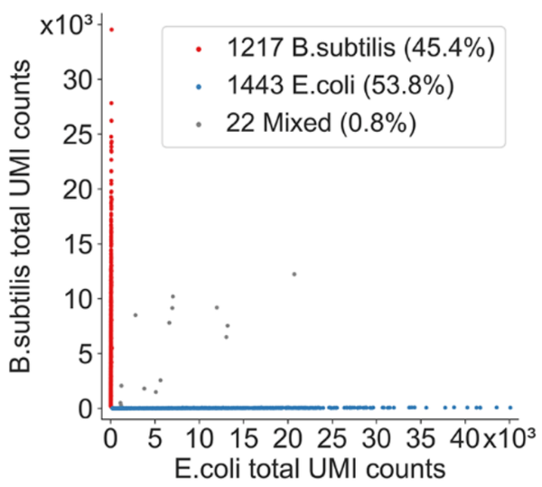 实测千例里程碑达成！ M20高通量单细菌RNA测序技术性能、数据全方位领跑 - 知乎